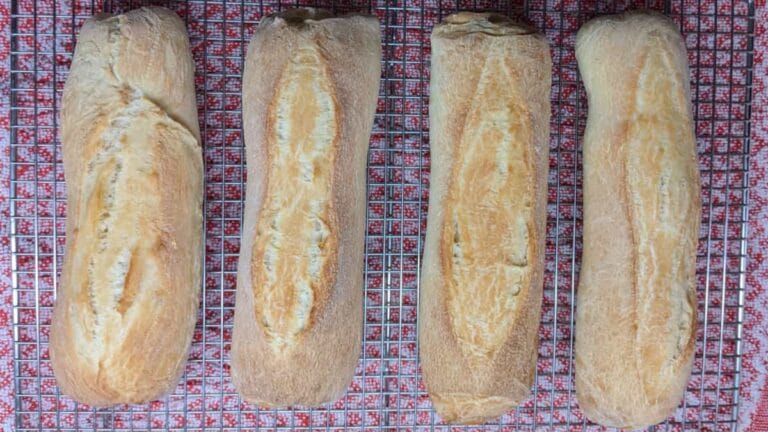 Bread Machine SUB ROLLS