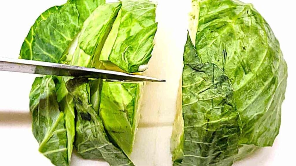 Darn Good Recipes - Speedy, Easy, Tasty