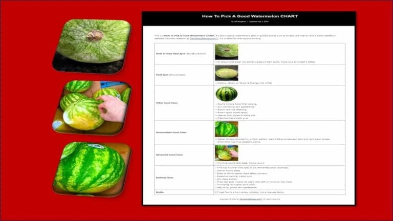 BEST How To Pick A Good Watermelon CHART of Good & Bad Clues